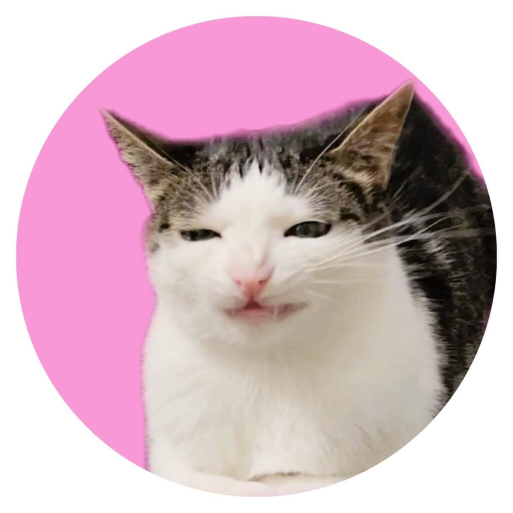 How to look amazing in photos without even trying - Photoform*